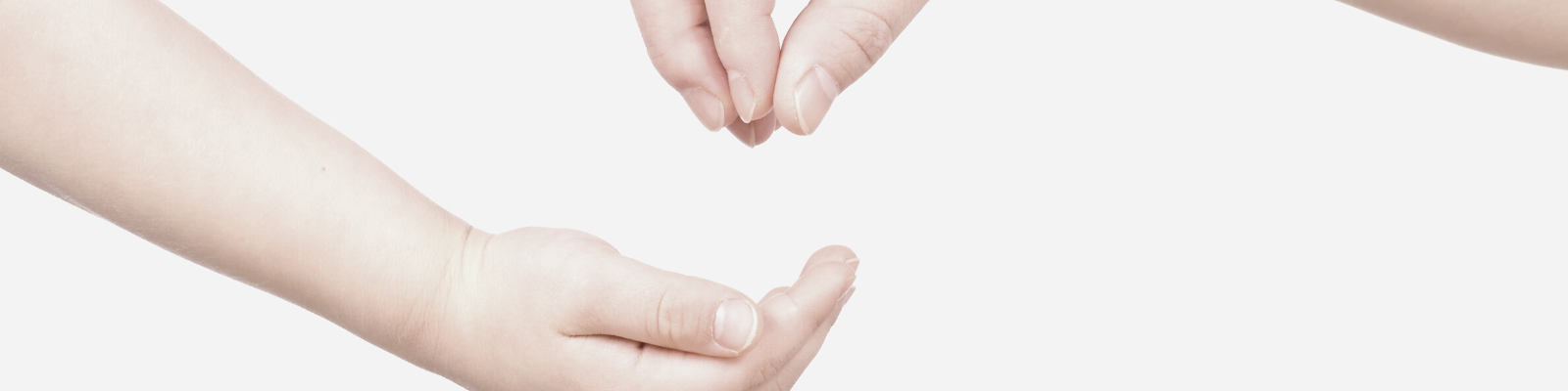 The Importance of Giving – nez living